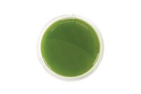 New ReadyPlate 55 and ReadyPlate 55 KIT - E. coli/Coliforms ...